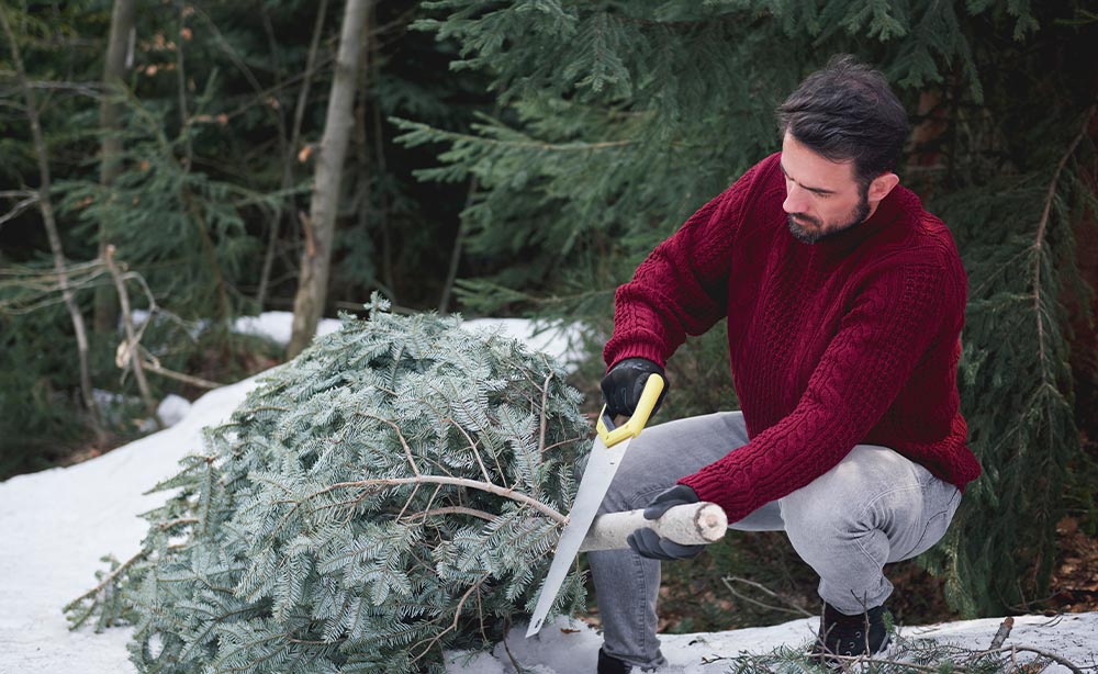 How to Give your Christmas Tree a New Life After the Festive Period | News